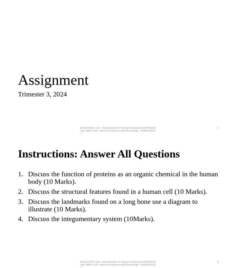 Make Up Assignment | PDF