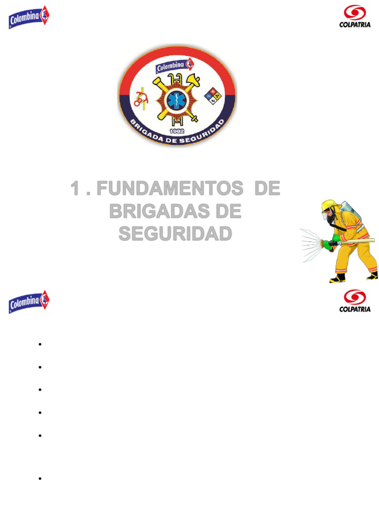 Brigadas de Seguridad: Fundamentos y Organización | PDF | Primeros ...
