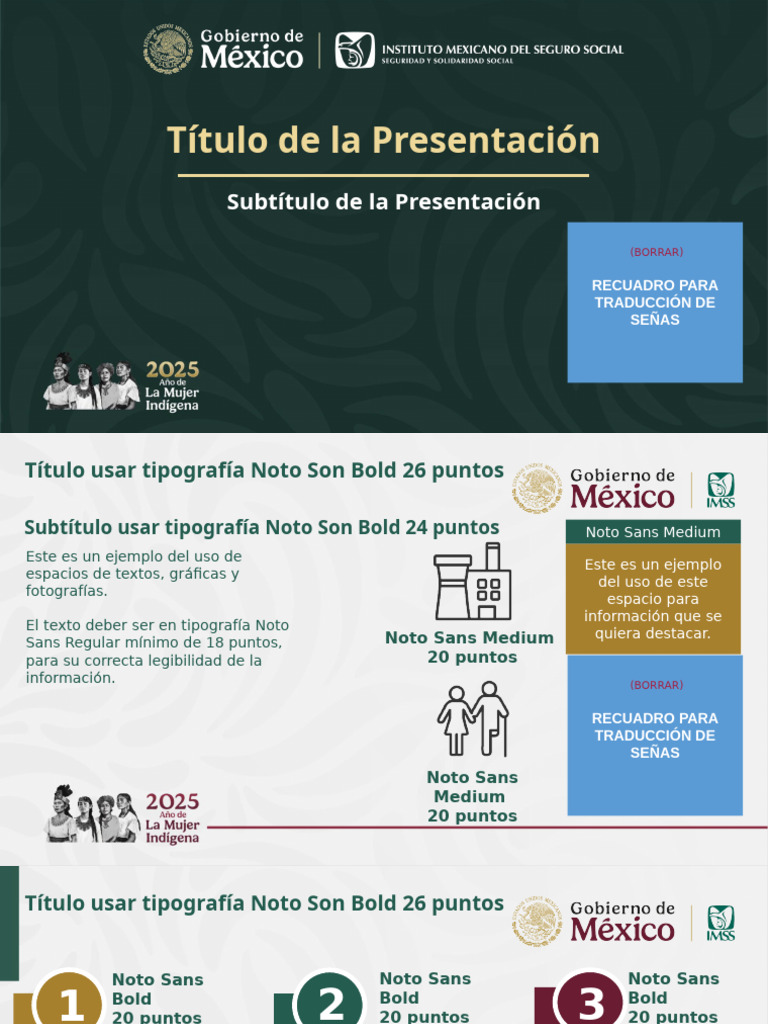 IMSS Presentacion 2024 2030 | PDF | Tipografía | Texto