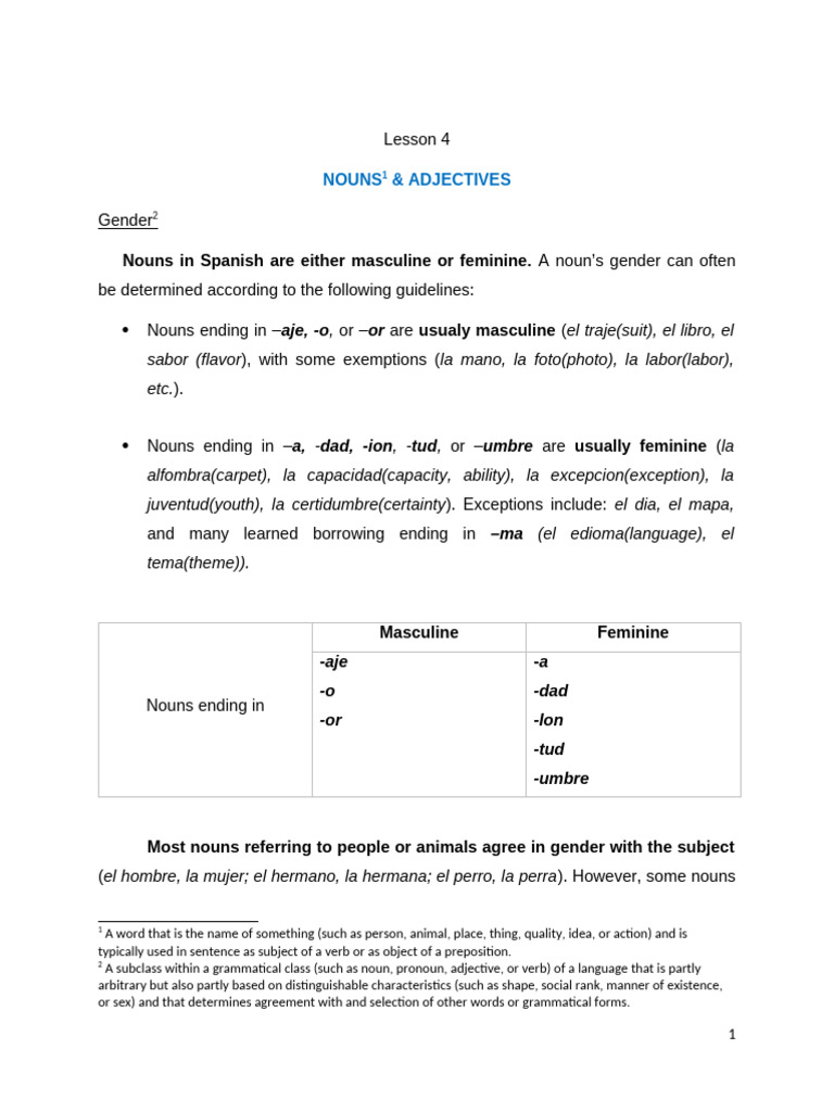 Lesson 4 Nouns and Adjectives | PDF | Grammatical Gender | Semantic Units