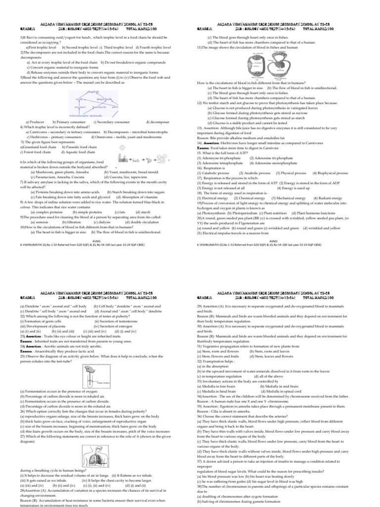 grade x one mark test | PDF | Atrium (Heart) | Neuron