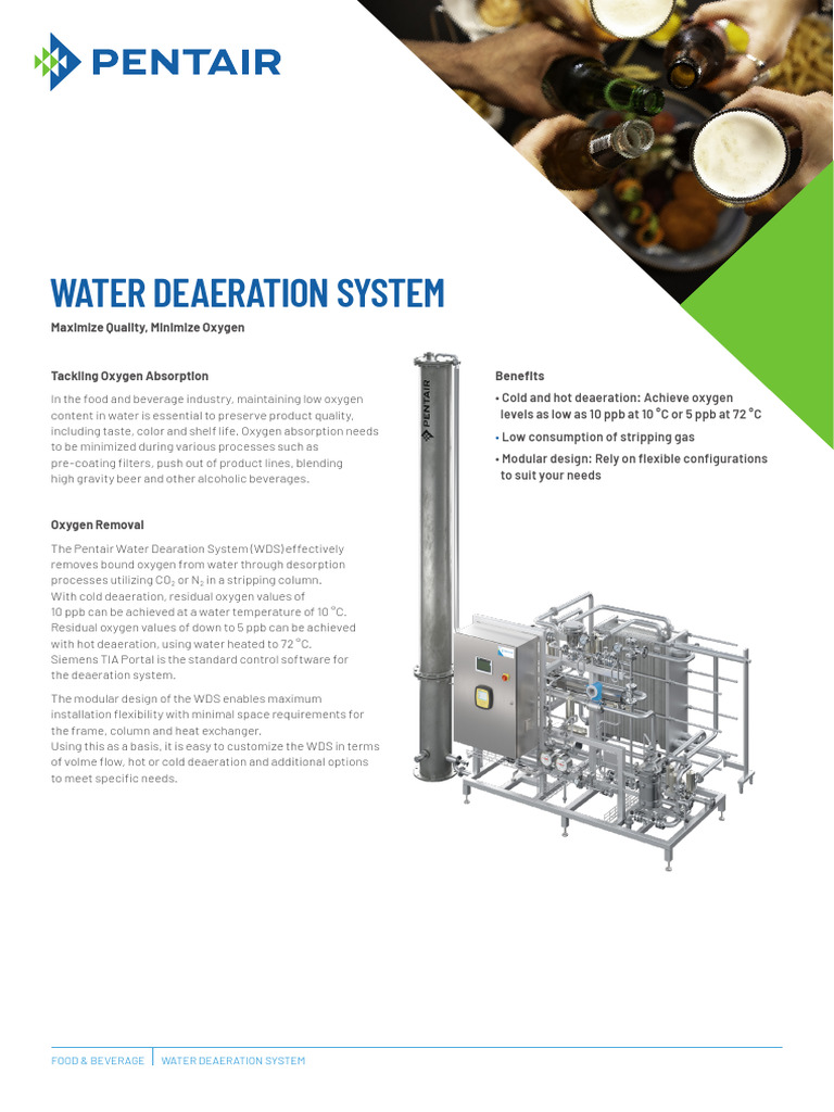 Water Deaeration System Overview | PDF | Water | Oxygen