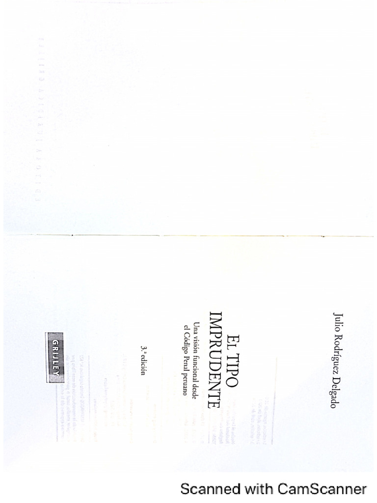 Julio+A.+Rodr%C3%ADguez+Delgado-+El+Tipo+Imprudente+%283era.+PC%29 | PDF
