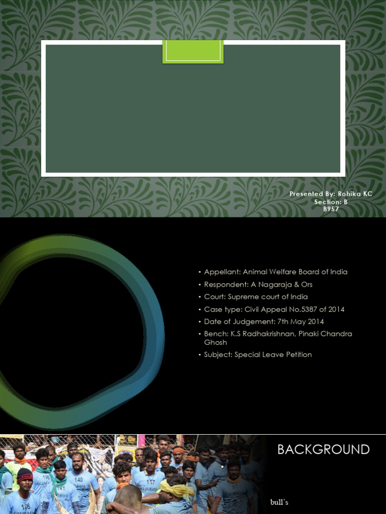 Animal Welfare Board Vs A Nagaraja | PDF | Justice | Crime & Violence