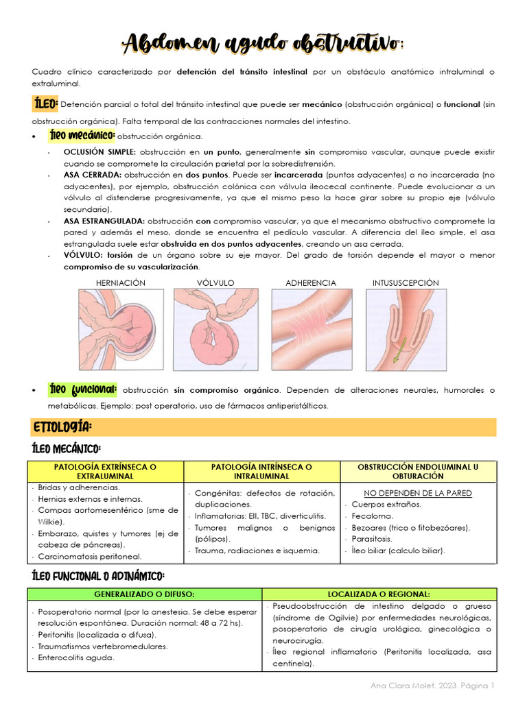 Abdomen Agudo Obstructivo | PDF | Enfermedades digestivas | Medicina CLINICA