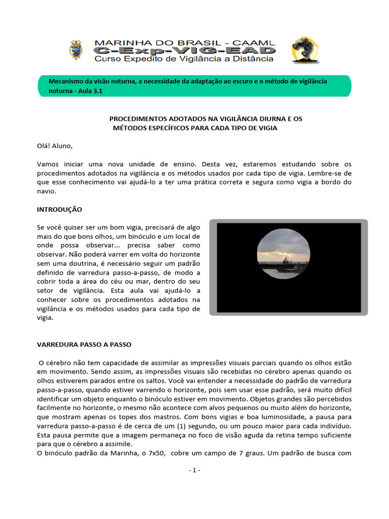 VIG_aula3-1 | PDF | Sistema visual | Olho