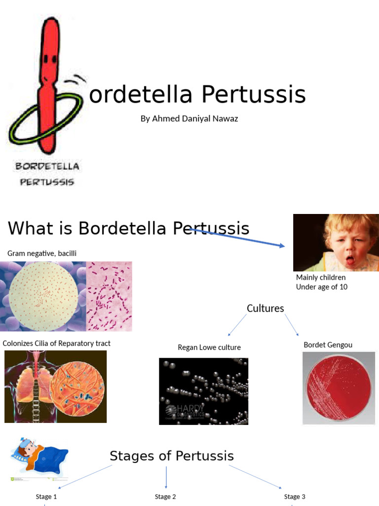 Bordetella Pertussis | PDF | Immunology | Medical Specialties