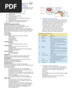 Tendon Reflex Assessment Scales | PDF