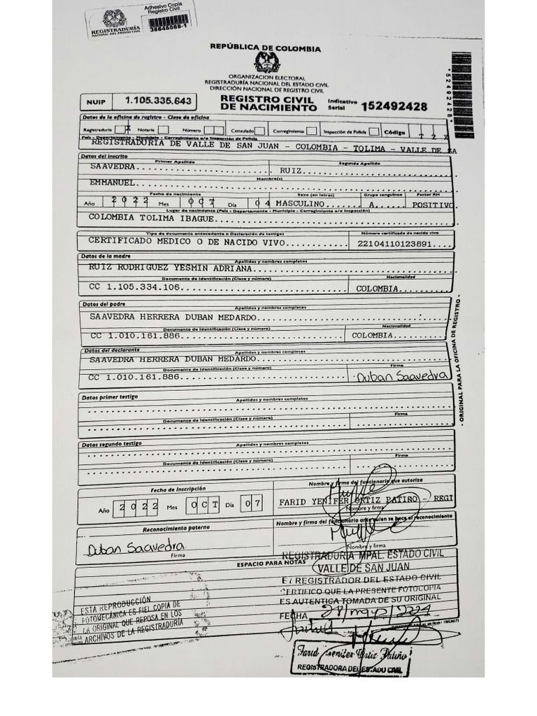 ACE Scanner_2025_01_09 | PDF