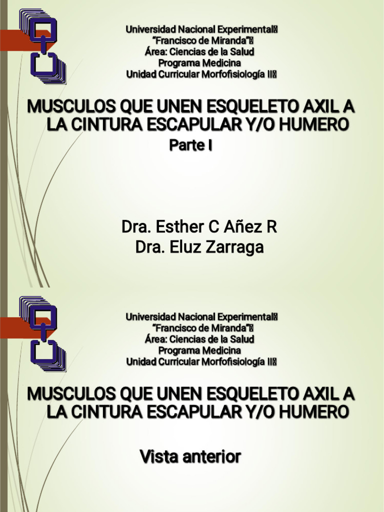 Músculos Axil-Cintura Escapular | PDF | Sistema musculoesquelético ...