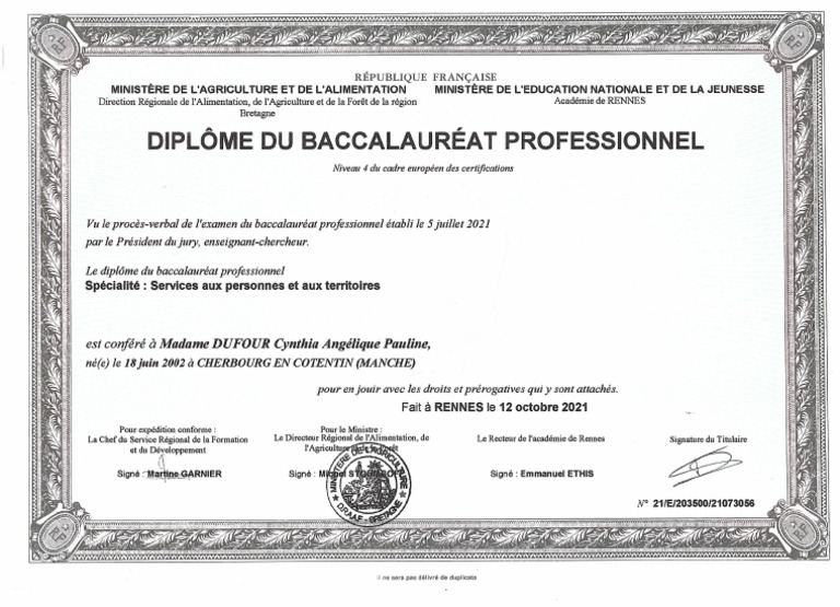 Bac Professionnel | PDF
