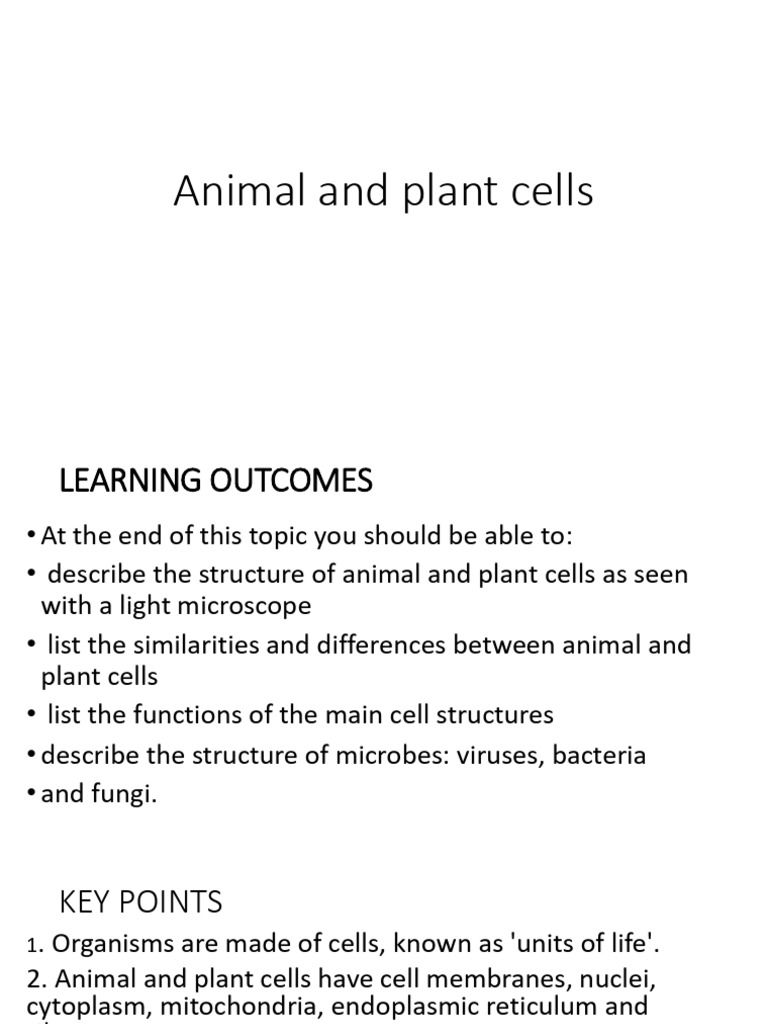 Animal and Plant Cell Structures Explained | PDF | Cell (Biology ...