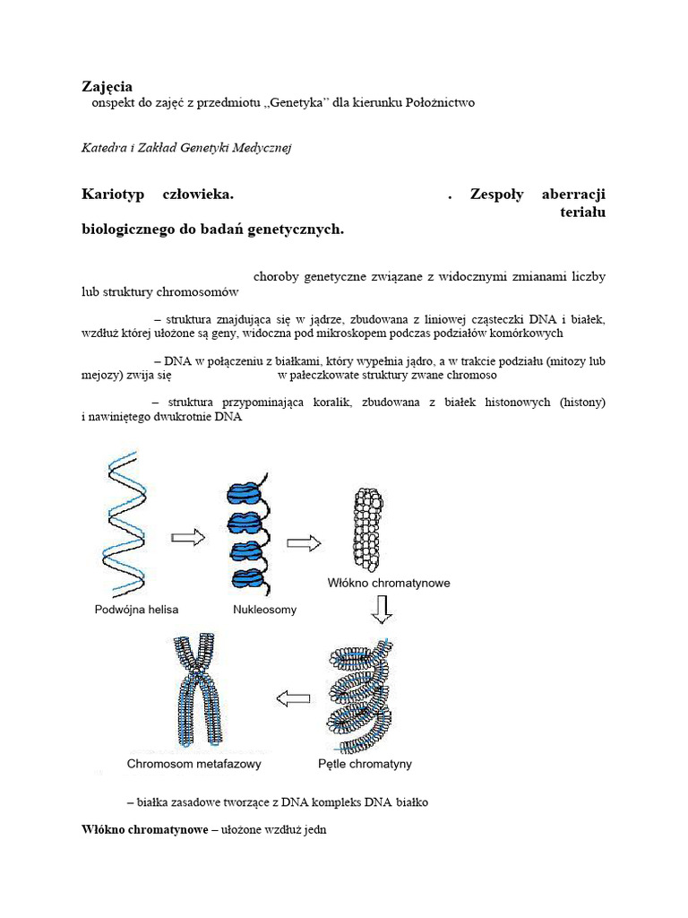 zajecia-2---konspekt_56o774 | PDF