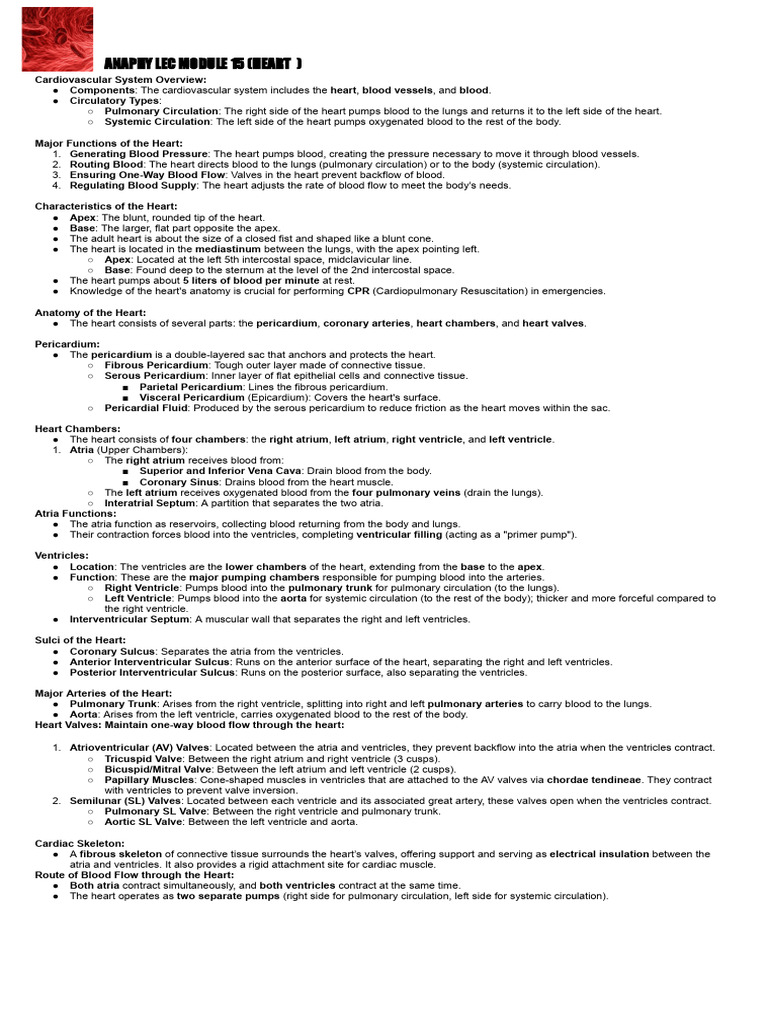 Anaphy Lec Module 15 (Heart) | PDF | Heart | Heart Valve