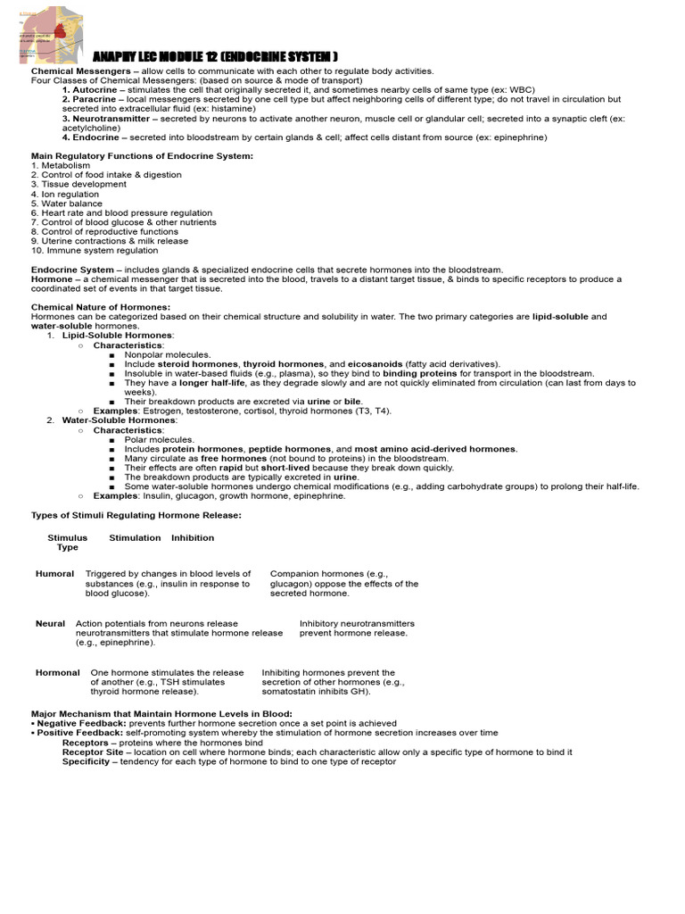 Anaphy Lec Module 12 (Endocrine System ) | PDF | Hormone | Endocrine System