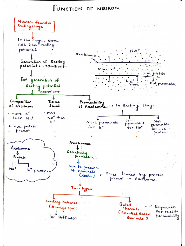 Document 50 | PDF