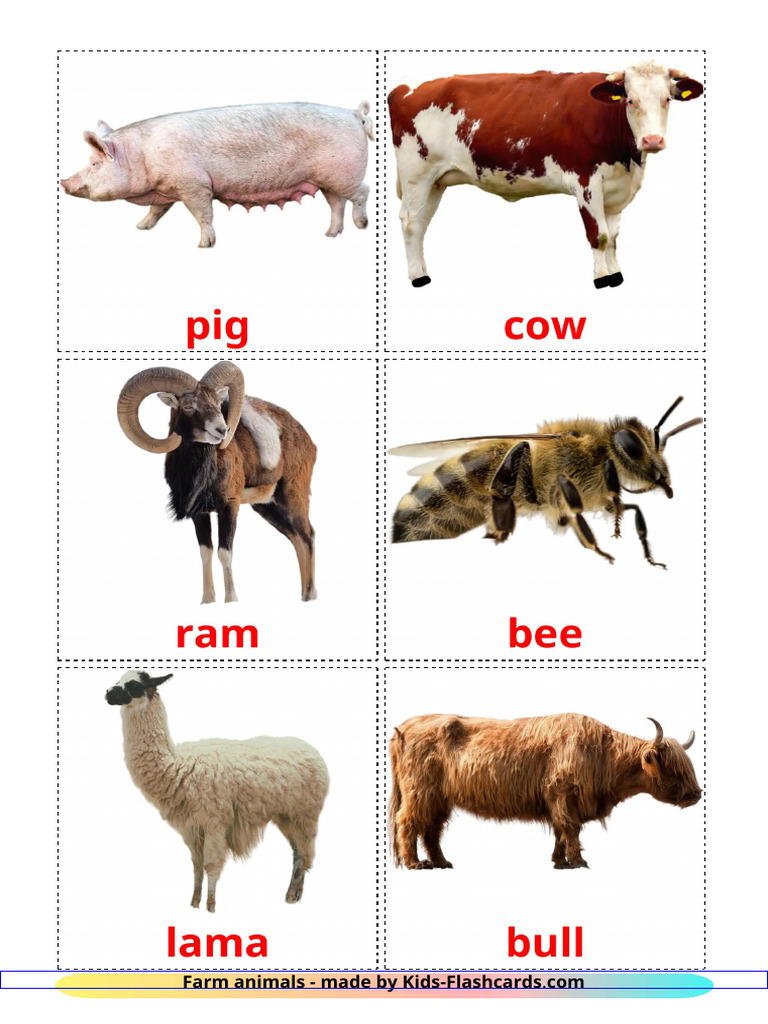 Free Printable Farm Animal Flashcards | PDF