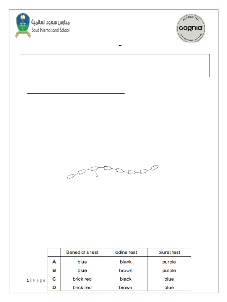 gr.7 ch.4 worksheet | PDF | Digestion | Starch