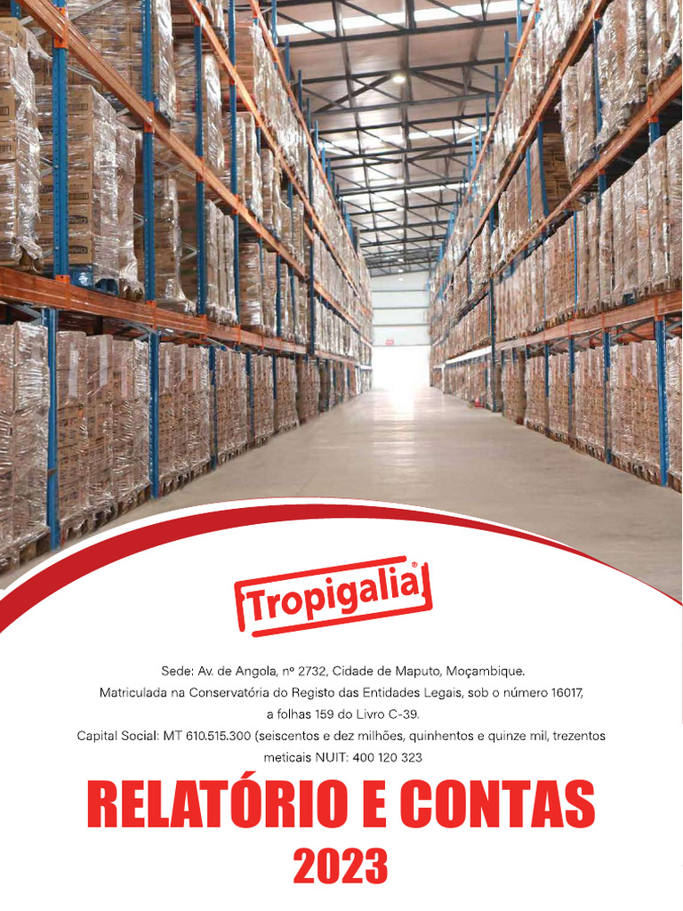 Relatório Anual Tropigalia 2023 | PDF | Investimentos | Economia