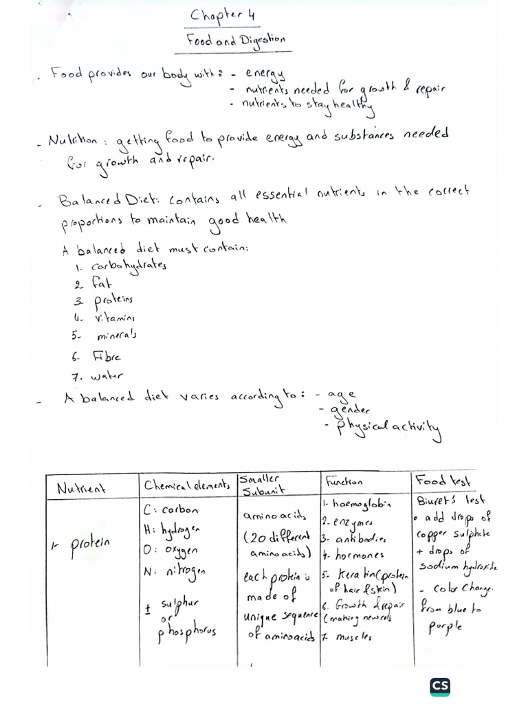 Biology Ch.4 Notes (1) | PDF