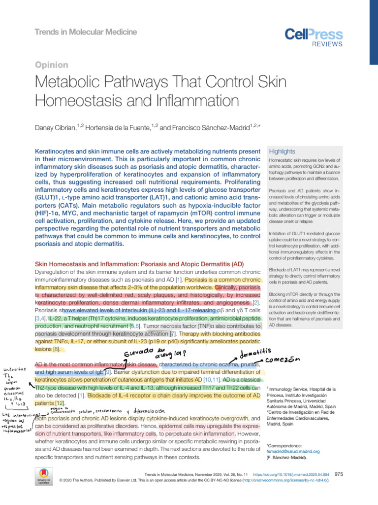Metabolic Pathways That Control Skin Homeostasis and Inflammation | PDF ...