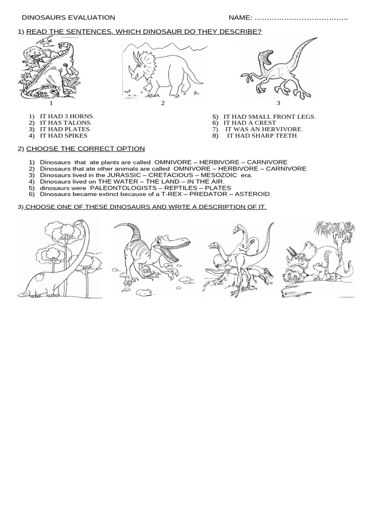 Dinosaurs Evaluation | PDF