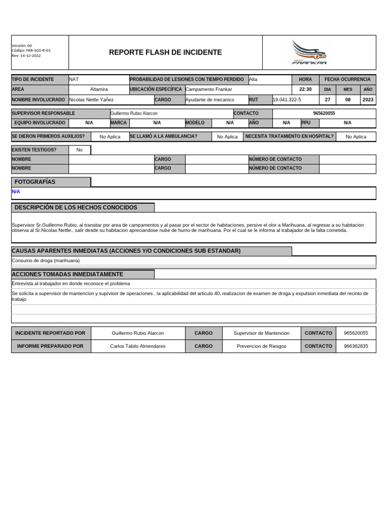 FKR SGS R 01 Reporte Flash | PDF