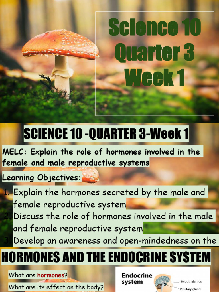 Week 1 Endocrine System | PDF | Luteinizing Hormone | Endocrine System