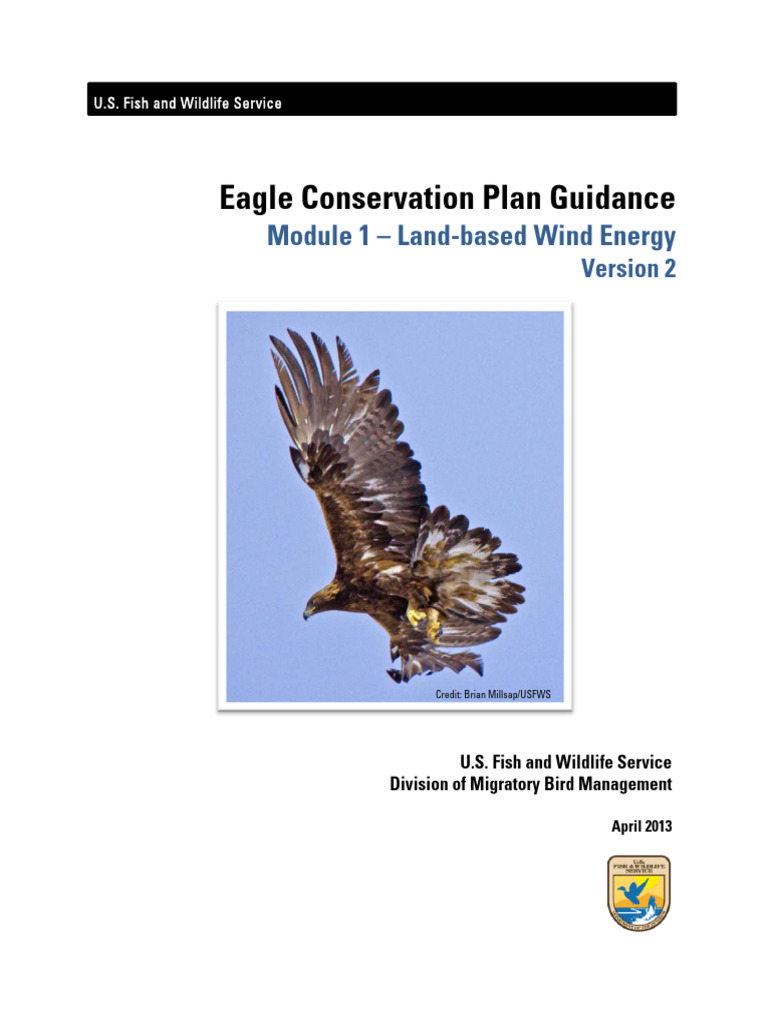 Eagle Conservation Plan for Wind Energy | PDF | Risk | United States ...