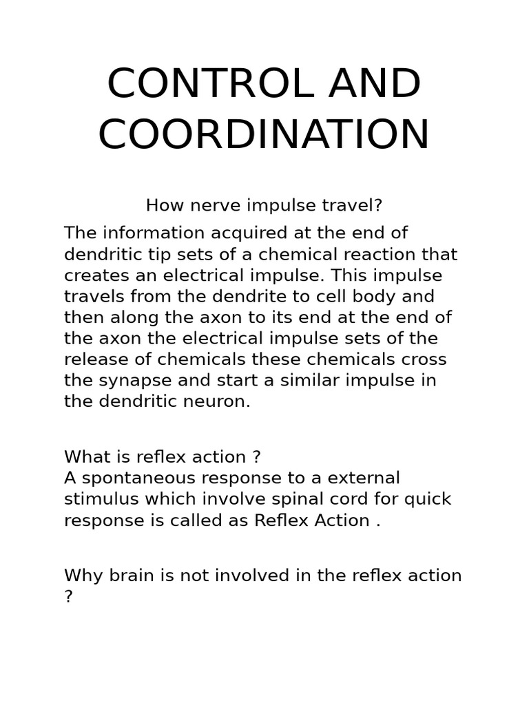 Nerve Impulses and Reflex Actions Explained | PDF