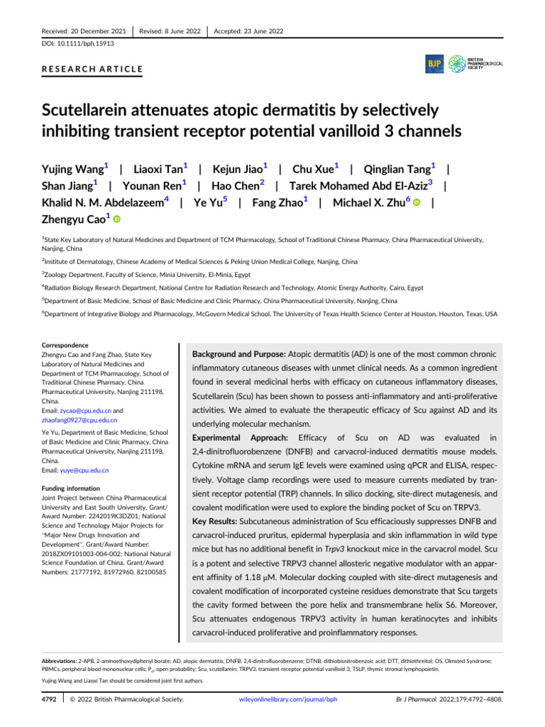 British J Pharmacology - 2022 - Wang - Scutellarein Attenuates Atopic ...