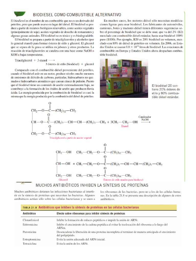 Lecturas Módulo 5 | PDF