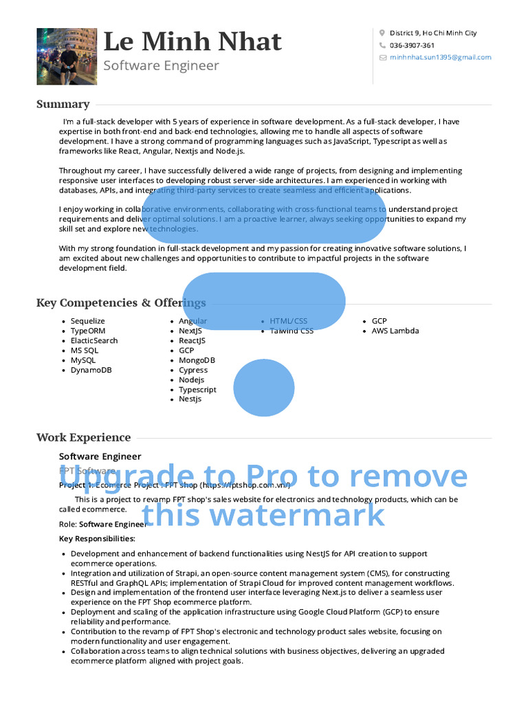 Le_Nhat_VisualCV_Resume | PDF | Enterprise Resource Planning | Software