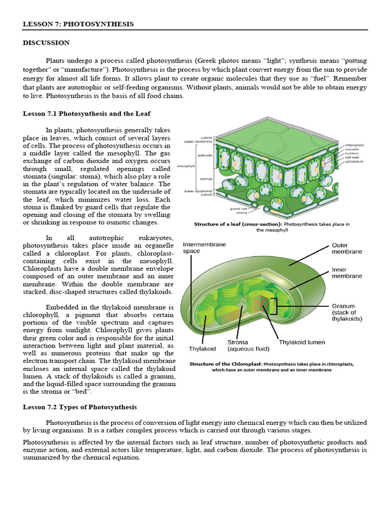 Notes For Photosynthesis and Cellular Respiration | PDF ...