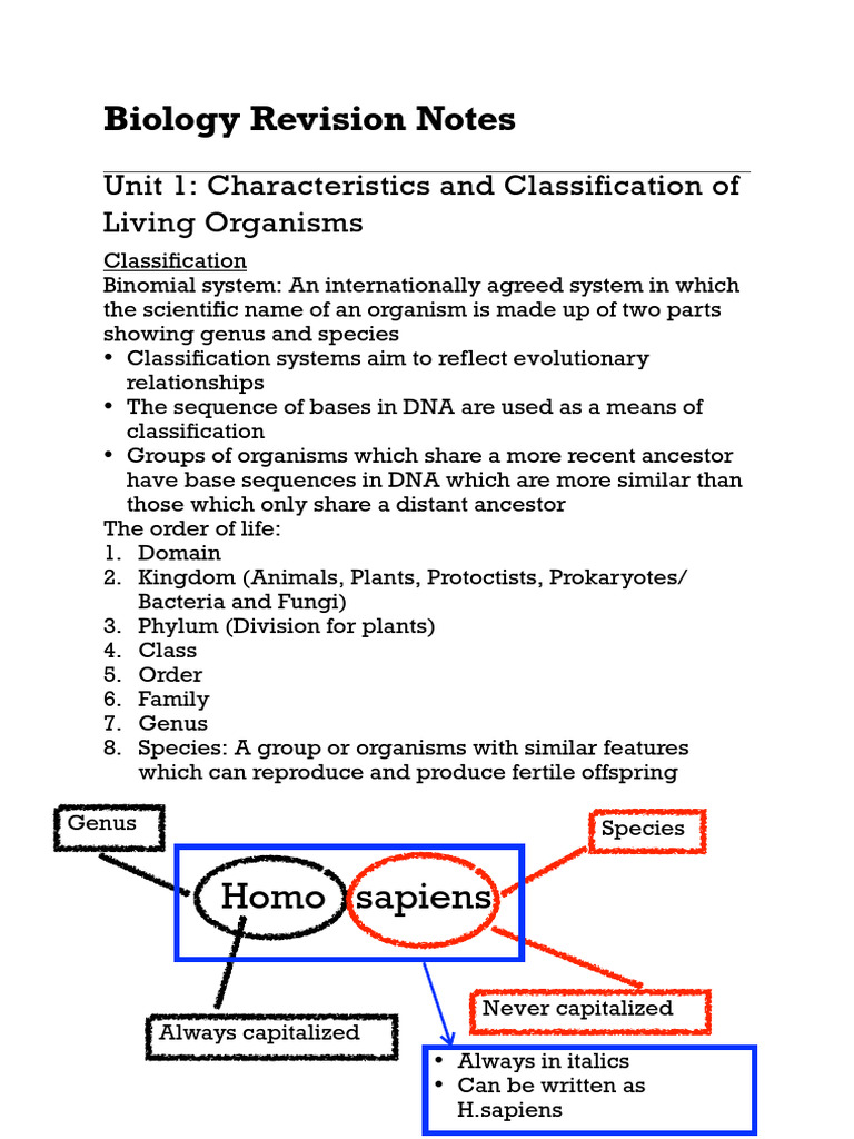 Biology Revsion Notes FINAL | PDF | Digestion | Breathing