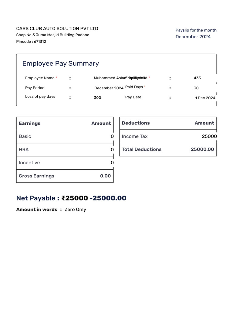Free Payslip Generator Online - Create Custom Payslips | PDF