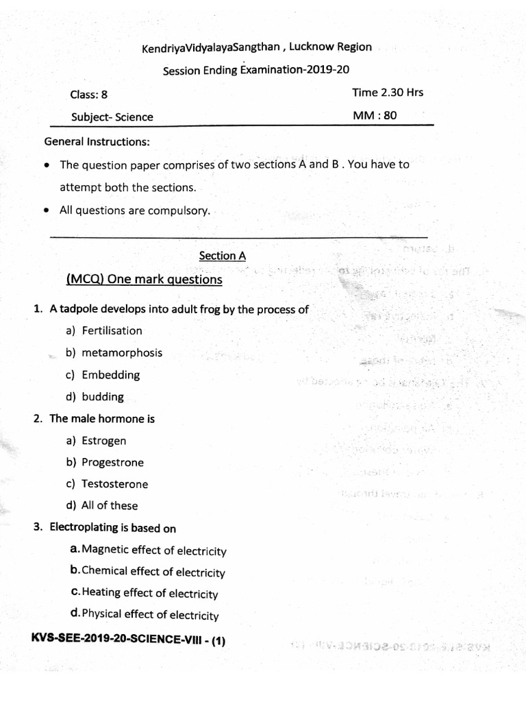 Class VIII Science Term-II 2019-20 | PDF