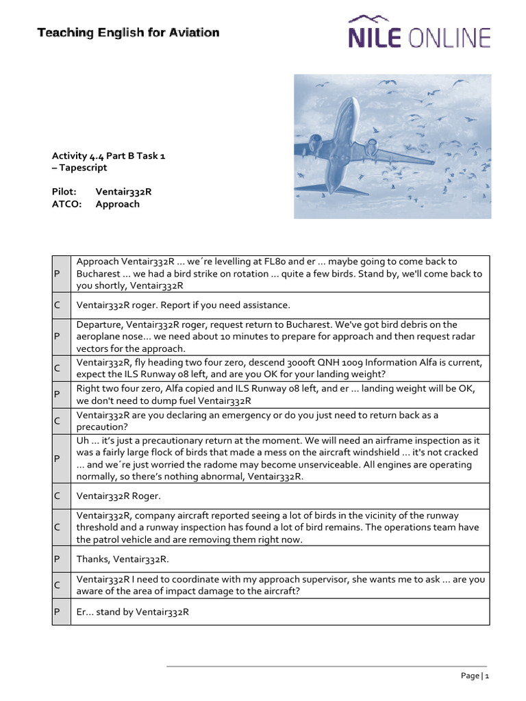 Pilot Transcript 2 | PDF