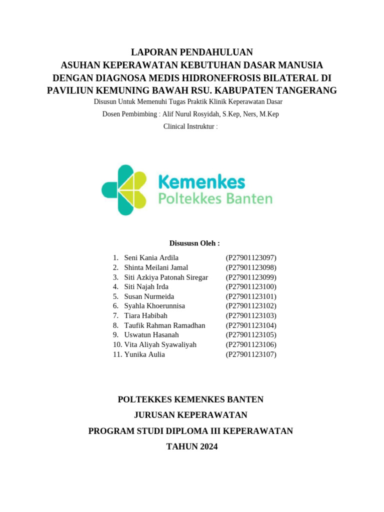 Lp Hidronefrosis Kel 9 (1) | PDF