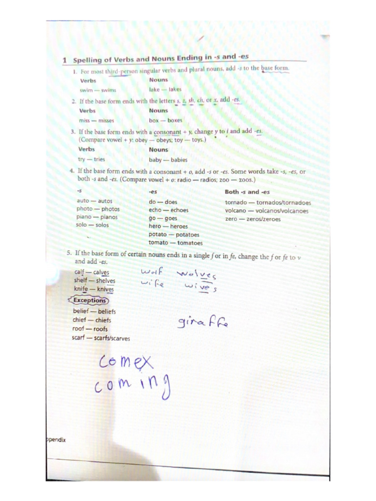 If The Base Form Ends With A Consonant + Y, Change y To I and Add - Es ...