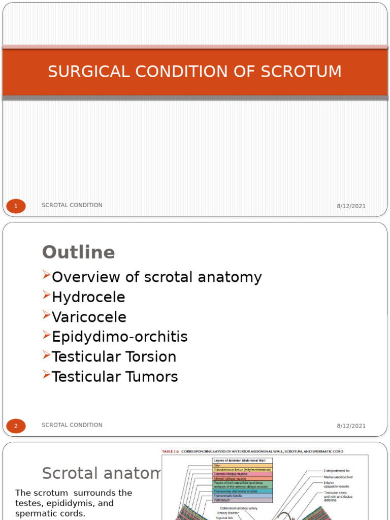 Surgical Condition of Scrotum | PDF | Cancer | Neoplasms