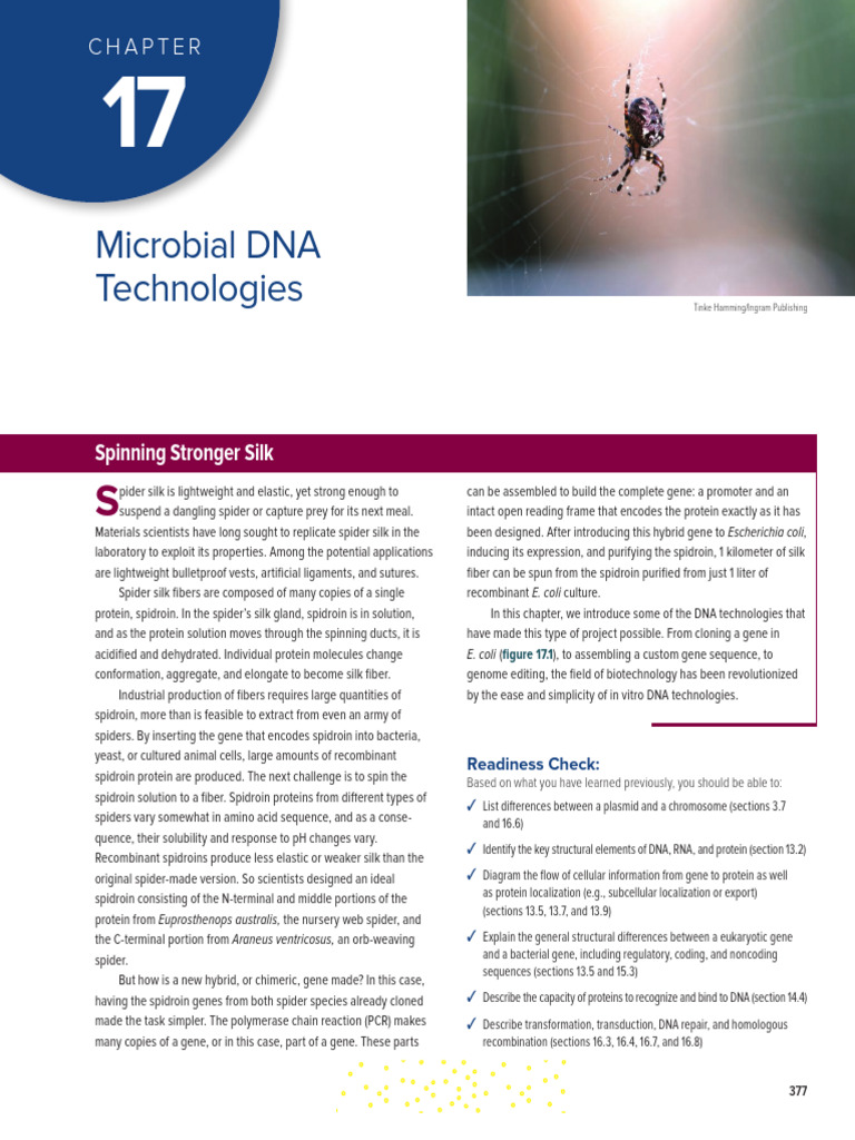 Microbial DNA Technology | PDF | Molecular Cloning | Vector (Molecular Biology)