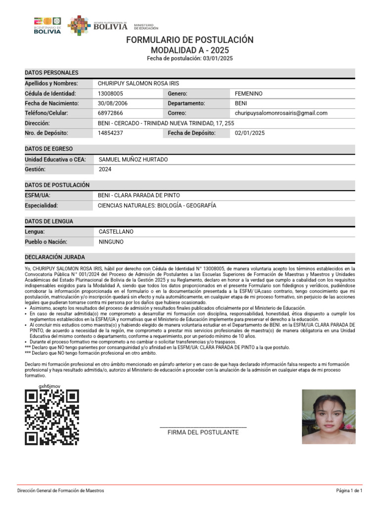 Formulario Rosa Iris | PDF | Documento de identidad