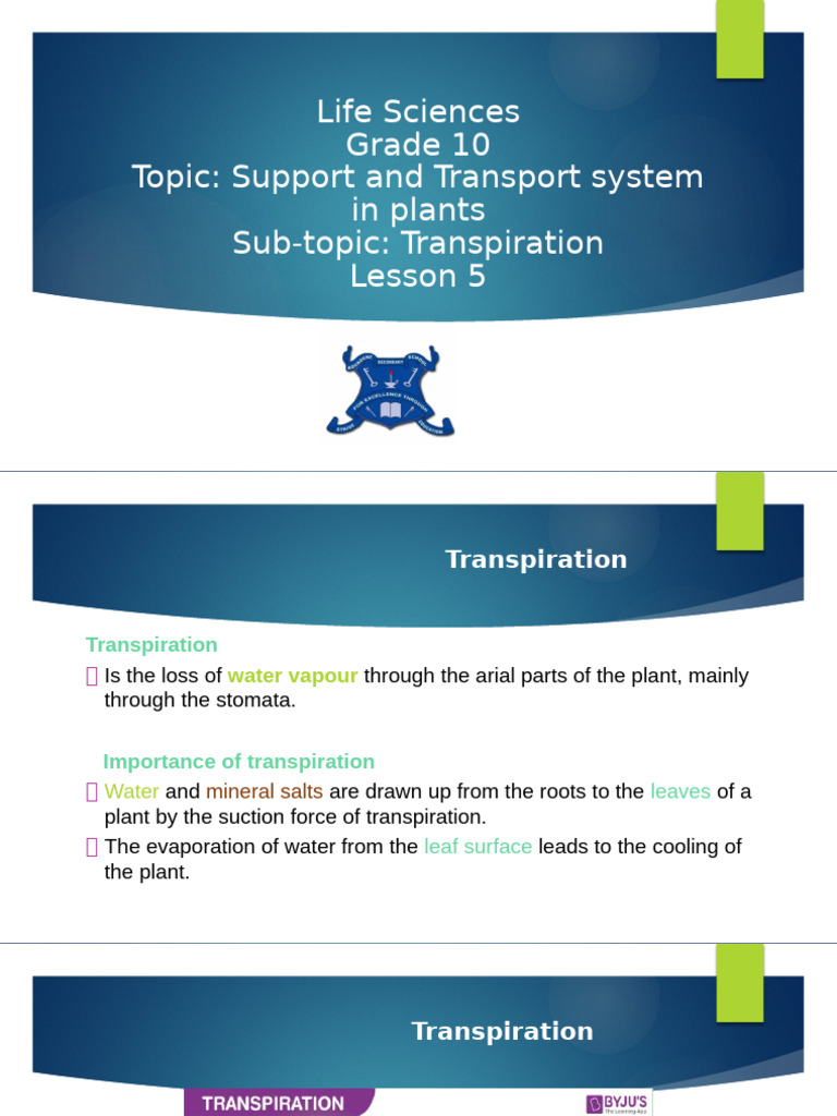 Life Sciences Gr.10 Support and transport system in plants ...
