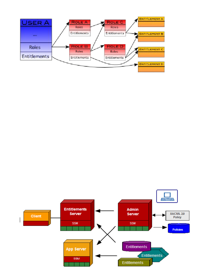 Roles and Entitlements Analysis | PDF