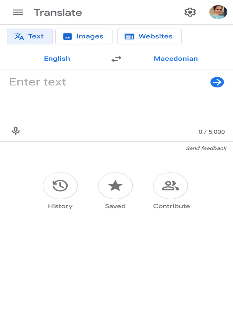 Google Translate | PDF