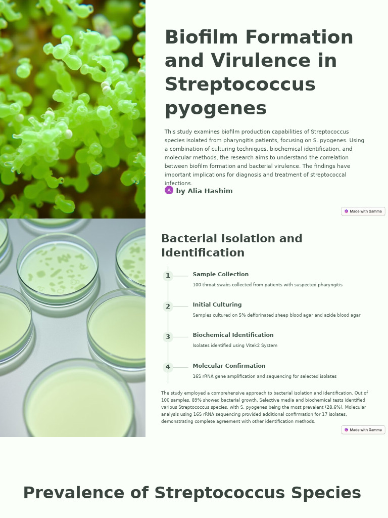 Biofilm Formation and Virulence in Streptococcus Pyogenes | PDF ...