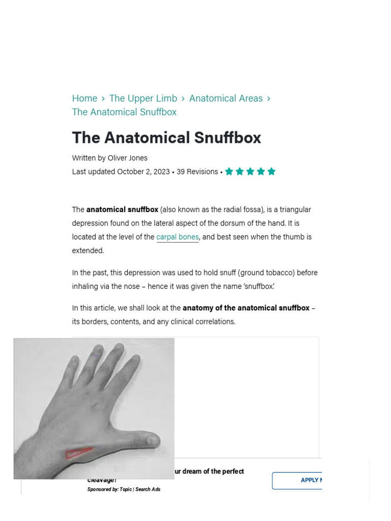 The Anatomical Snuffbox - Borders - Contents - Tea - 241217 - 110823 ...