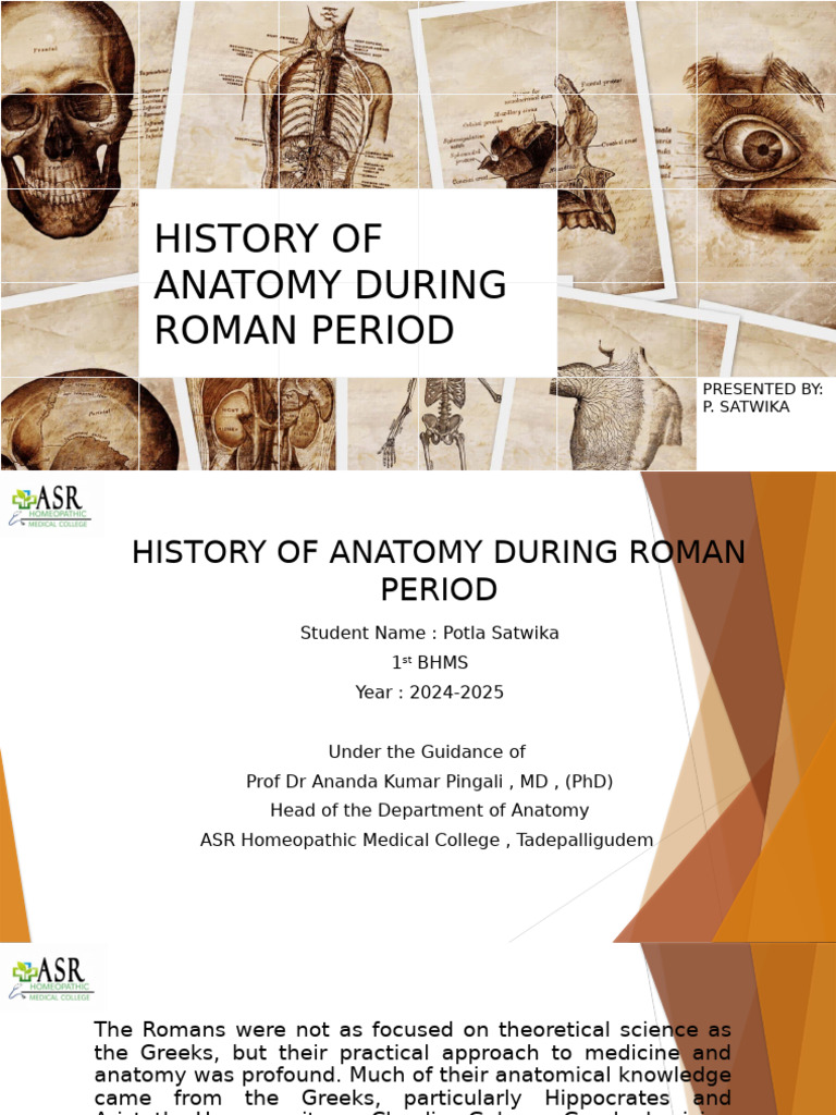 Roman Contributions to Anatomy | PDF | Anatomy | Medicine
