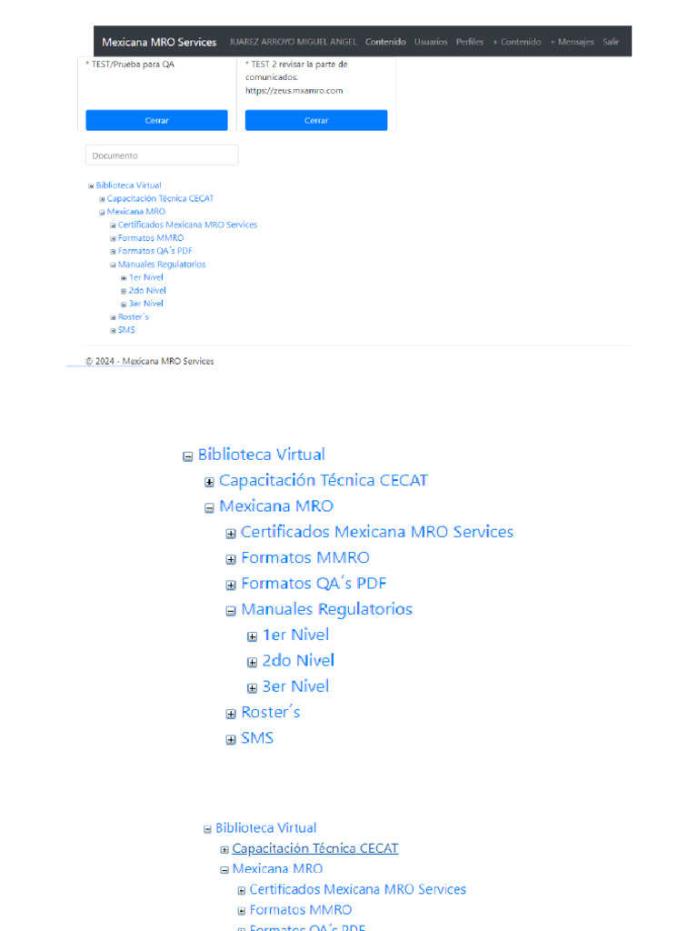 Biblioteca Virtual | PDF
